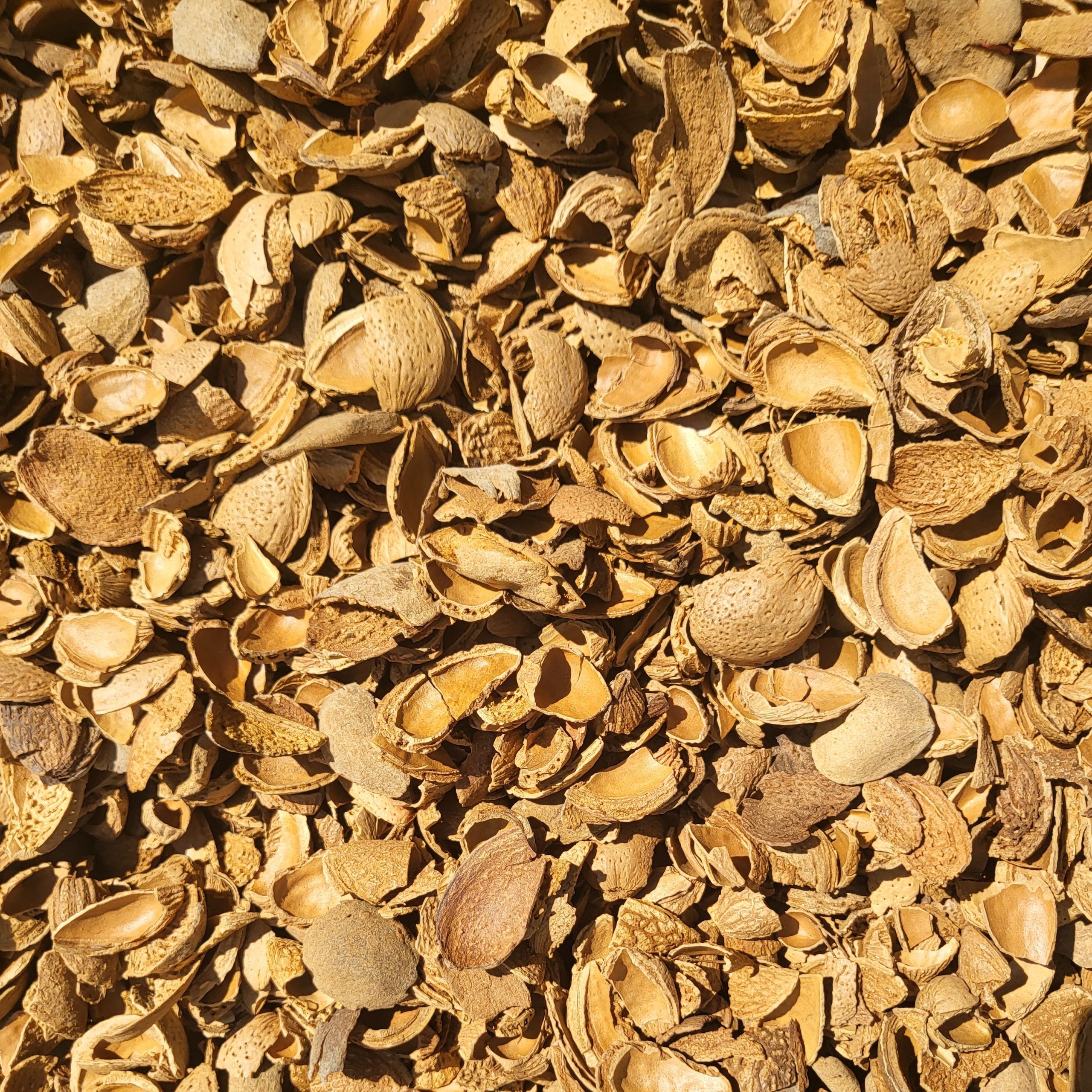 Plant based granules for vibrofinishing, polishing and sandblasting ...