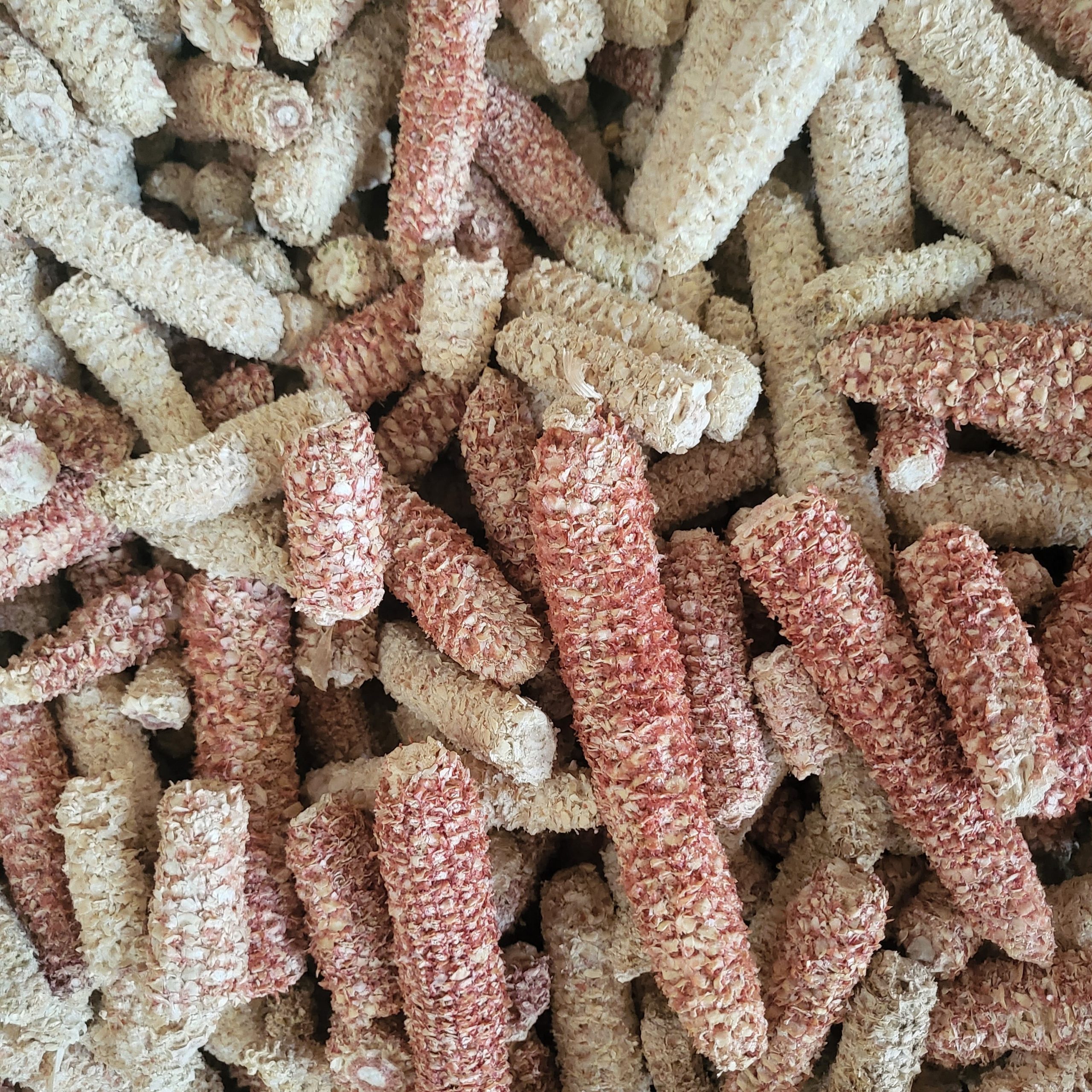 Tutolo di mais per applicazioni nell'industria e nella zootecnia